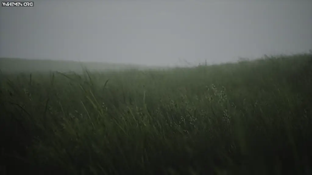 Grass Wallpaper 1920x1080 Grass, Trees, Green HD Wallpaper | Pxfuel