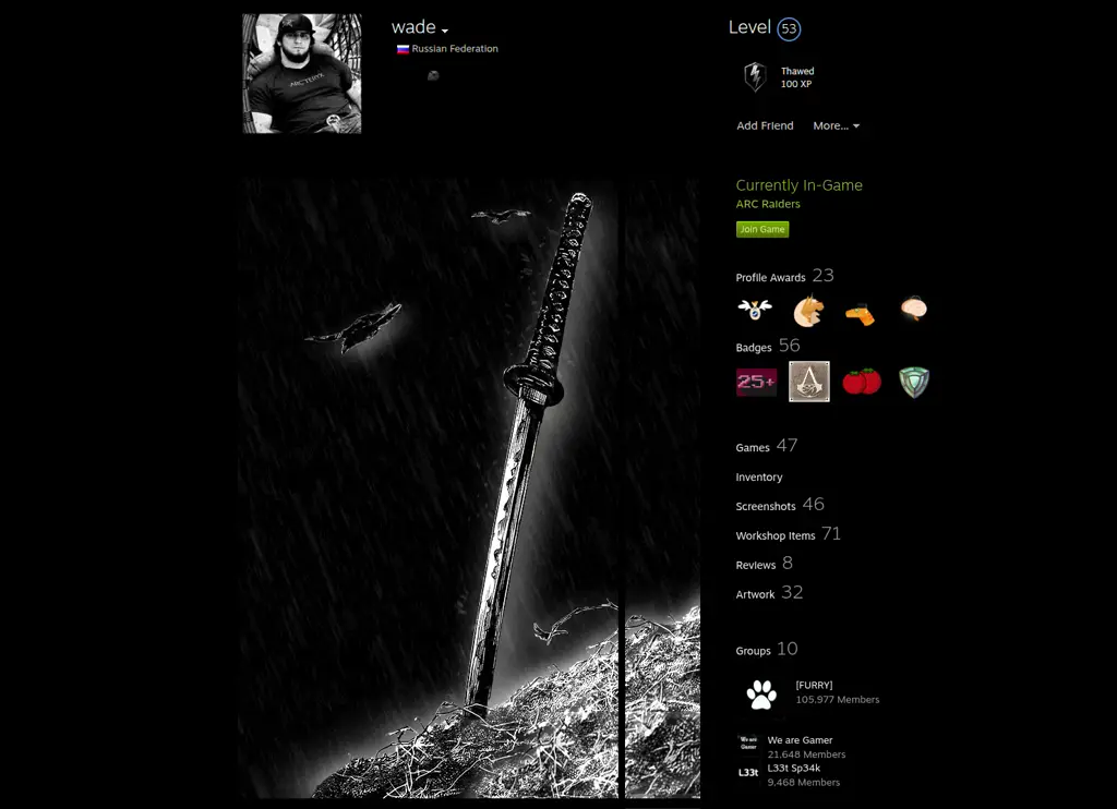 Steam Artwork Katana download on VSThemes.org