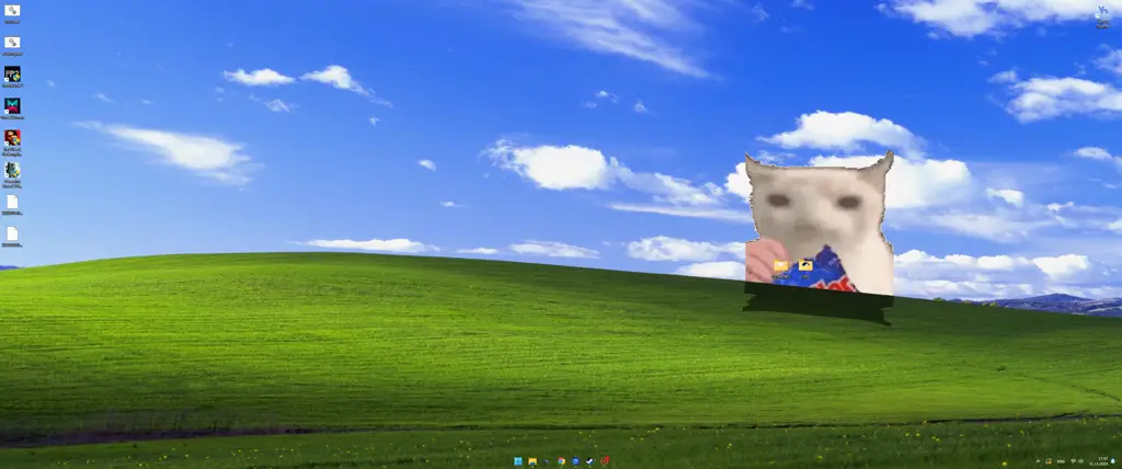 Live wallpaper Cat eats chips, Windows XP download on VSThemes.org
