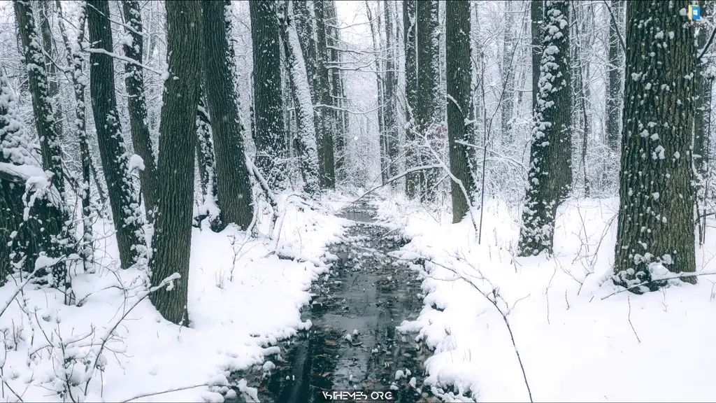 Live wallpaper Winter fairy tale download on VSThemes.org