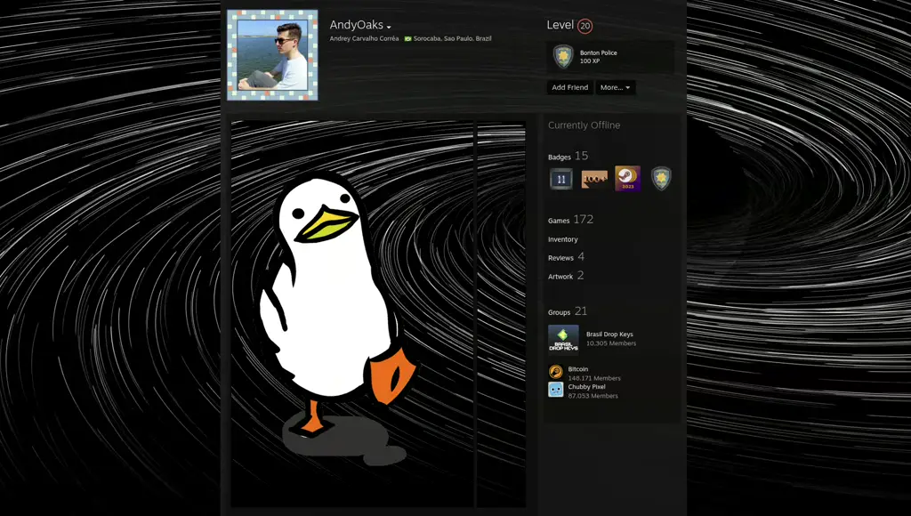 Steam Artwork Far-reaching duck download on VSThemes.org