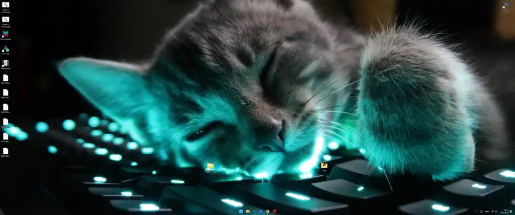 Живые обои Спящий на клавиатуре кот скачать на VSThemes.org