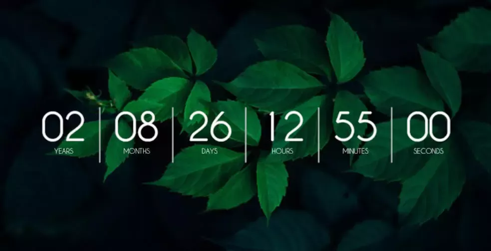 Skin Countdown Timer for Rainmeter download on VSThemes.org