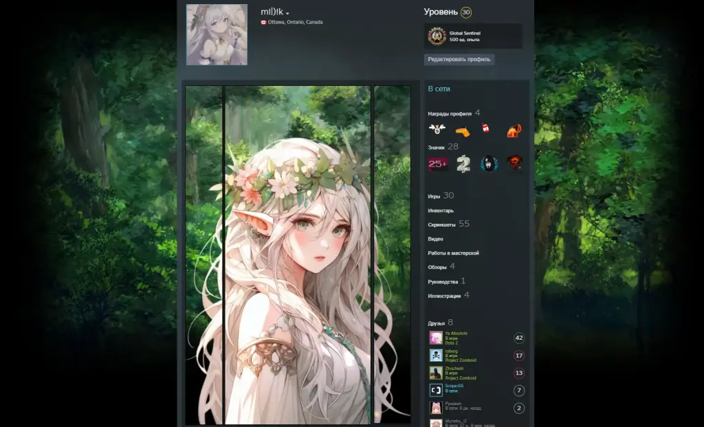 Steam Artwork Beautiful elf girl download on VSThemes.org