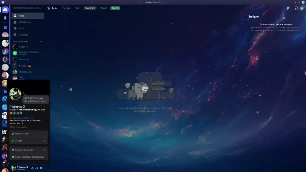 Theme Another Starry Night for Discord download on VSThemes.org