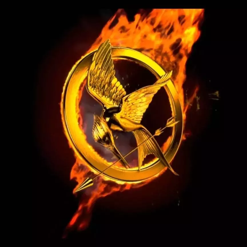 Hunger Games Symbol Wallpaper
