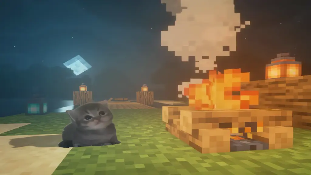 Live wallpaper Gray kitten in Minecraft download on VSThemes.org