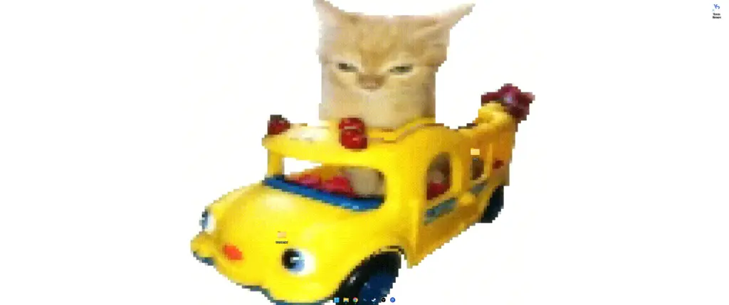 Live wallpaper Silly cat in a car download on VSThemes.org