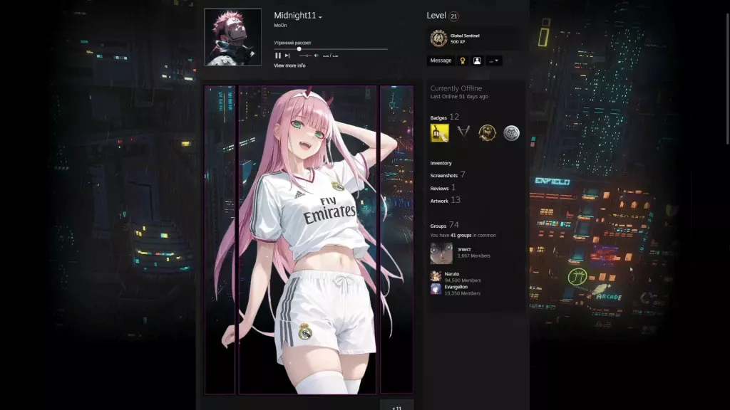 Steam Artwork Zero Two Fly Emirates download on VSThemes.org