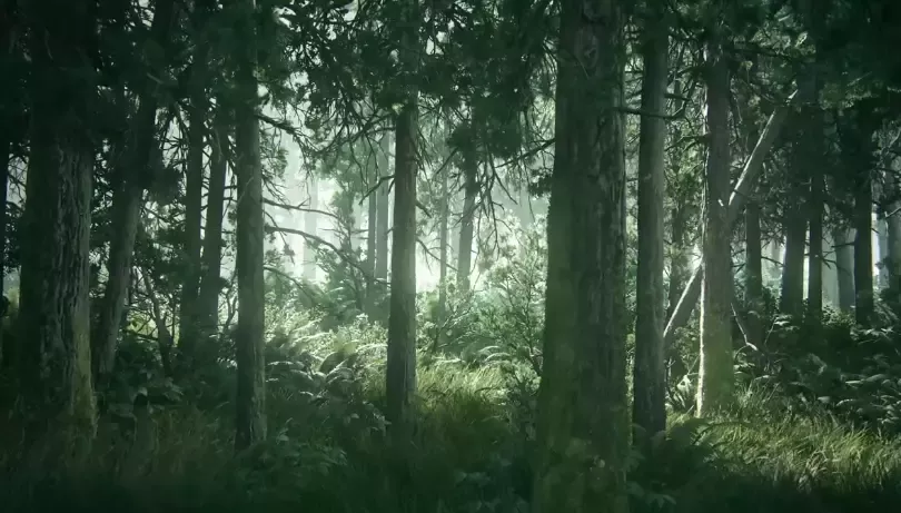 Live wallpaper Beautiful Forest download on VSThemes.org