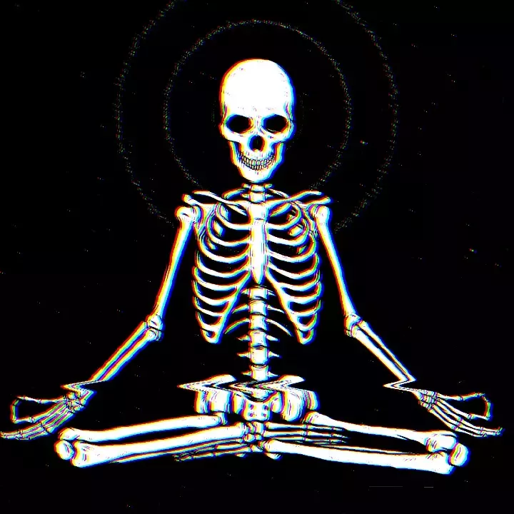Live wallpaper Skeleton Meditation download on VSThemes.org