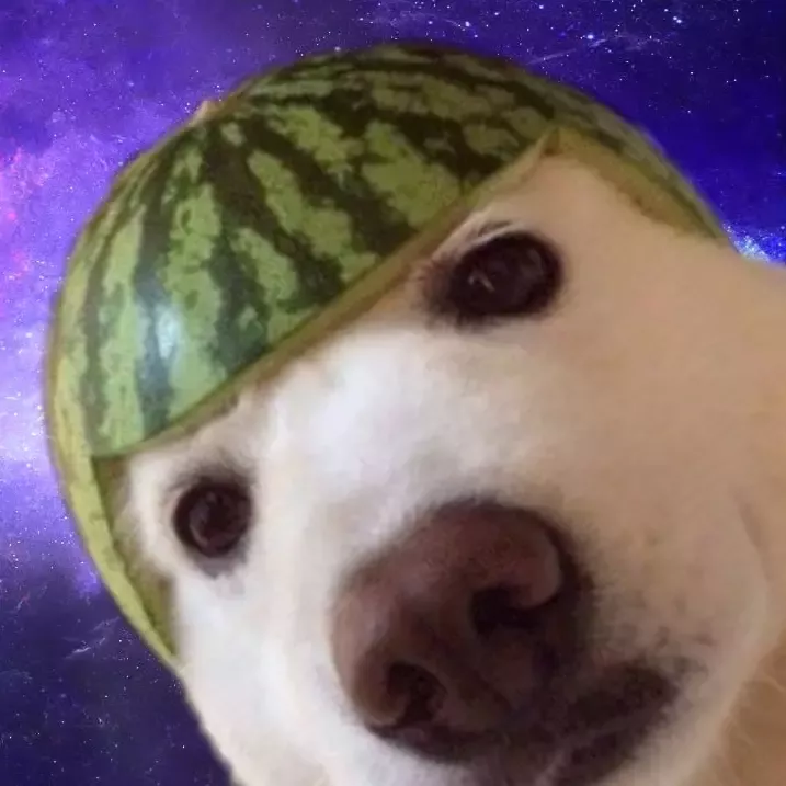 Live wallpaper melon dog but better download on VSThemes.org