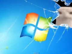 Live wallpaper Cat eats chips, Windows XP download on VSThemes.org