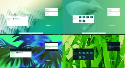 Theme GIN 24 for Windows 11 download on VSThemes.org