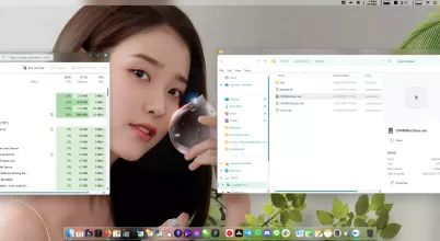 Theme GIN 24 for Windows 11 download on VSThemes.org