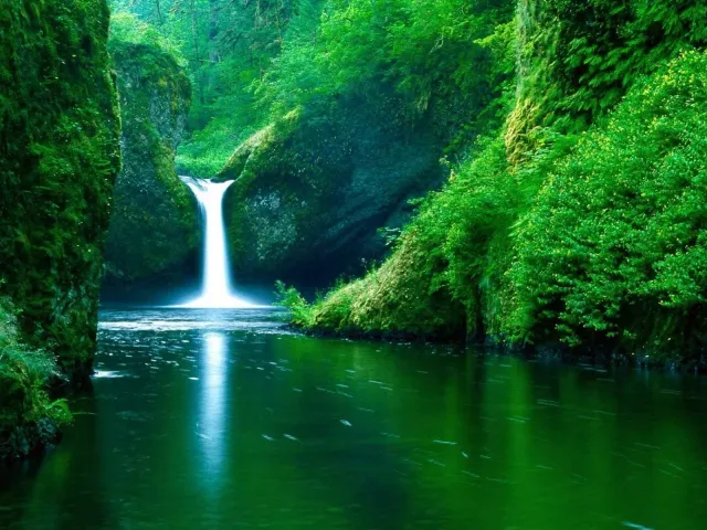 Windows Theme packages (200+)