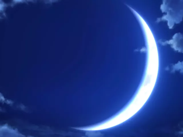 Live wallpaper FGO Ring Of Light download on VSThemes.org
