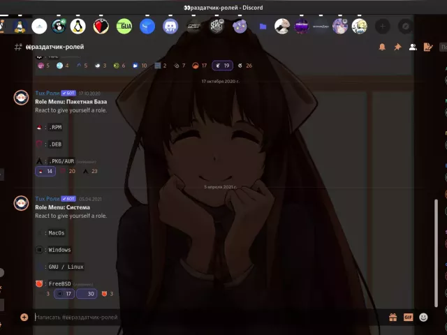 Theme Doki Doki Literature Club Monica for Discord download on VSThemes.org