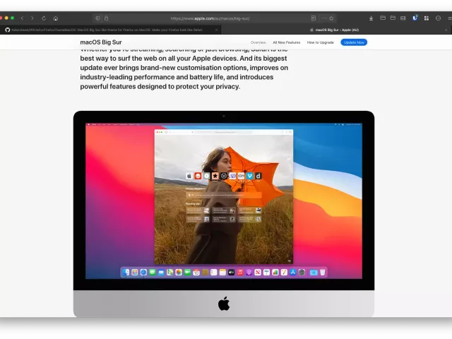 Firefox Themes (30+)