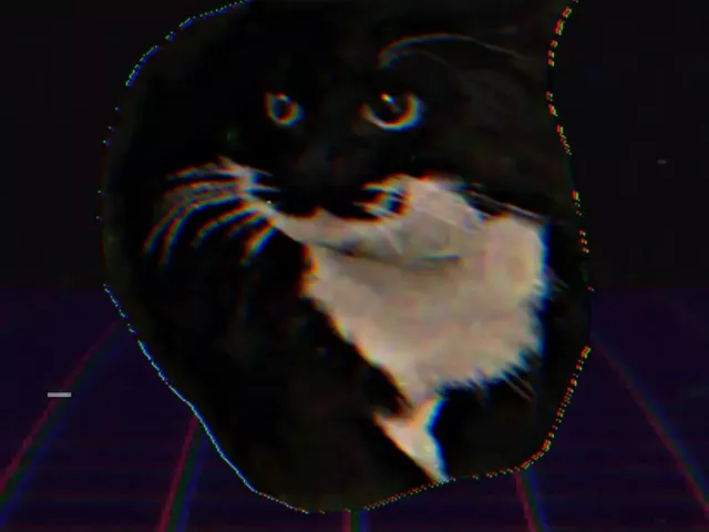 Live wallpaper Spinning cat meme OIIA OIIA download on VSThemes.org