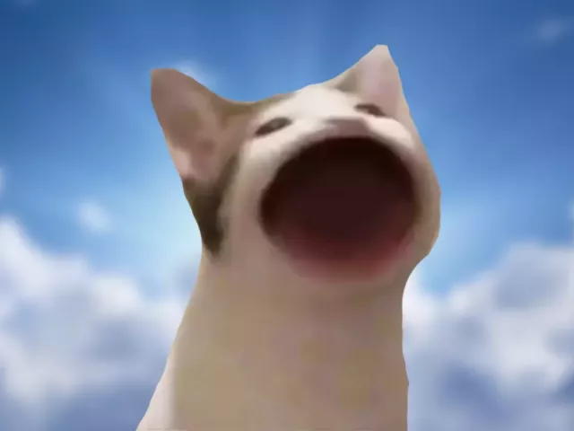 Live wallpaper Cat eats chips, Windows 11 download on VSThemes.org