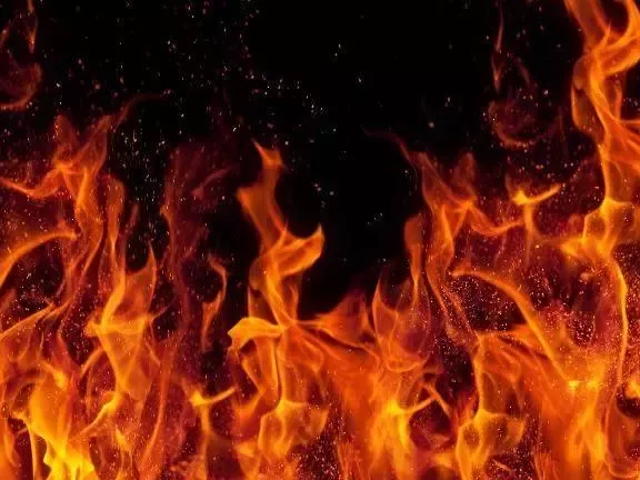 Windows Theme packages (200+)