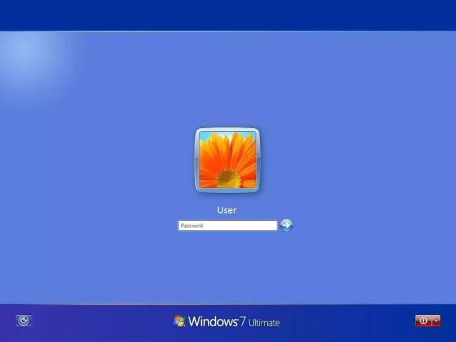 Themepack Linux Mint for Windows 8/10/11 download on VSThemes.org