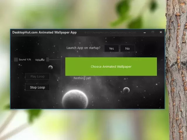 Video wallpaper installation software - TOP 10 files to personalize the ...
