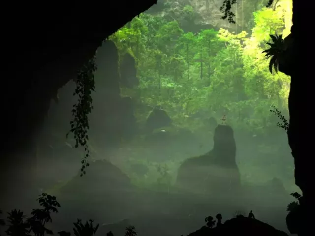 Live Wallpaper Km Jungle