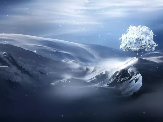 Live wallpaper M7 - Tree download on VSThemes.org