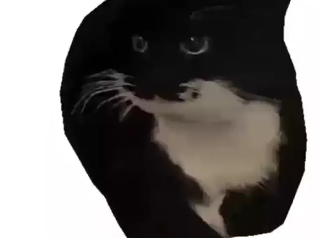 Live wallpaper Cat eats chips, Windows 11 download on VSThemes.org