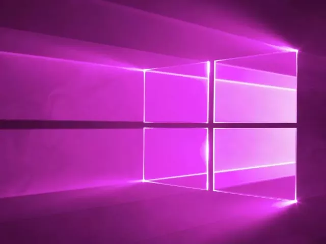 Live wallpaper Cat eats chips, Windows XP download on VSThemes.org