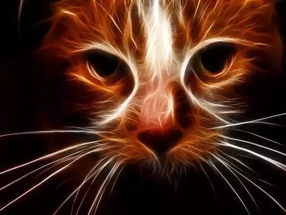 Themepack Cool hacker for Windows 8/10/11 download on VSThemes.org