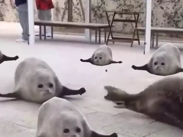 Живые обои Rust Animated Wallpaper - Oil Rig скачать на VSThemes.org