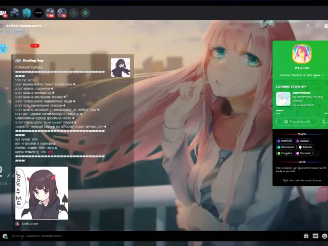 Theme art zero two for Discord download on VSThemes.org